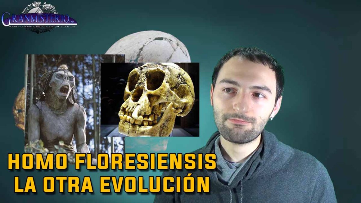 Teorias sobre la otra evolución del Homo Sapiens – El homo Floresiensis ...
